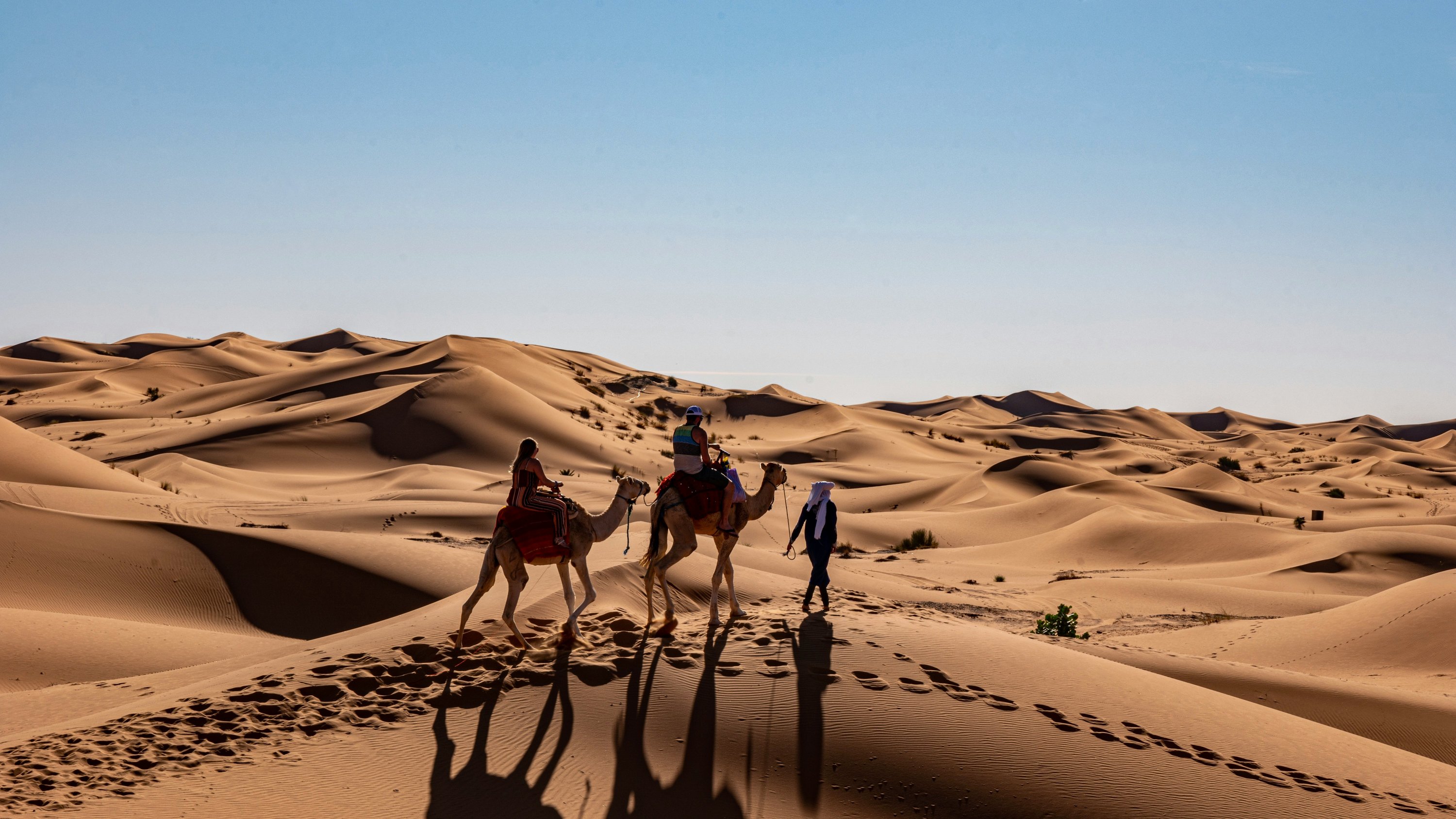 Marrakech et Essaouira | Voyages éducatifs | Éducatours